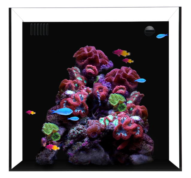 Waterbox Aquarium cube Nano 10 USA – Aquamaniacs